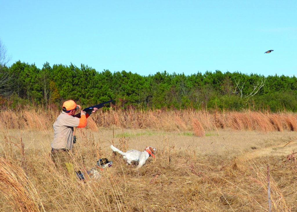 Outdoors: Late season hunting - Alabama Living Magazine