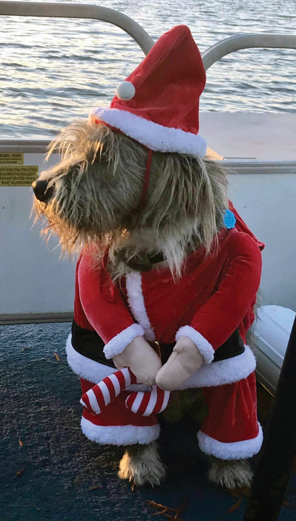 Christmas Vacation - Alabama Living Magazine