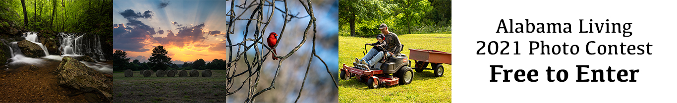 Home - Alabama Living Magazine