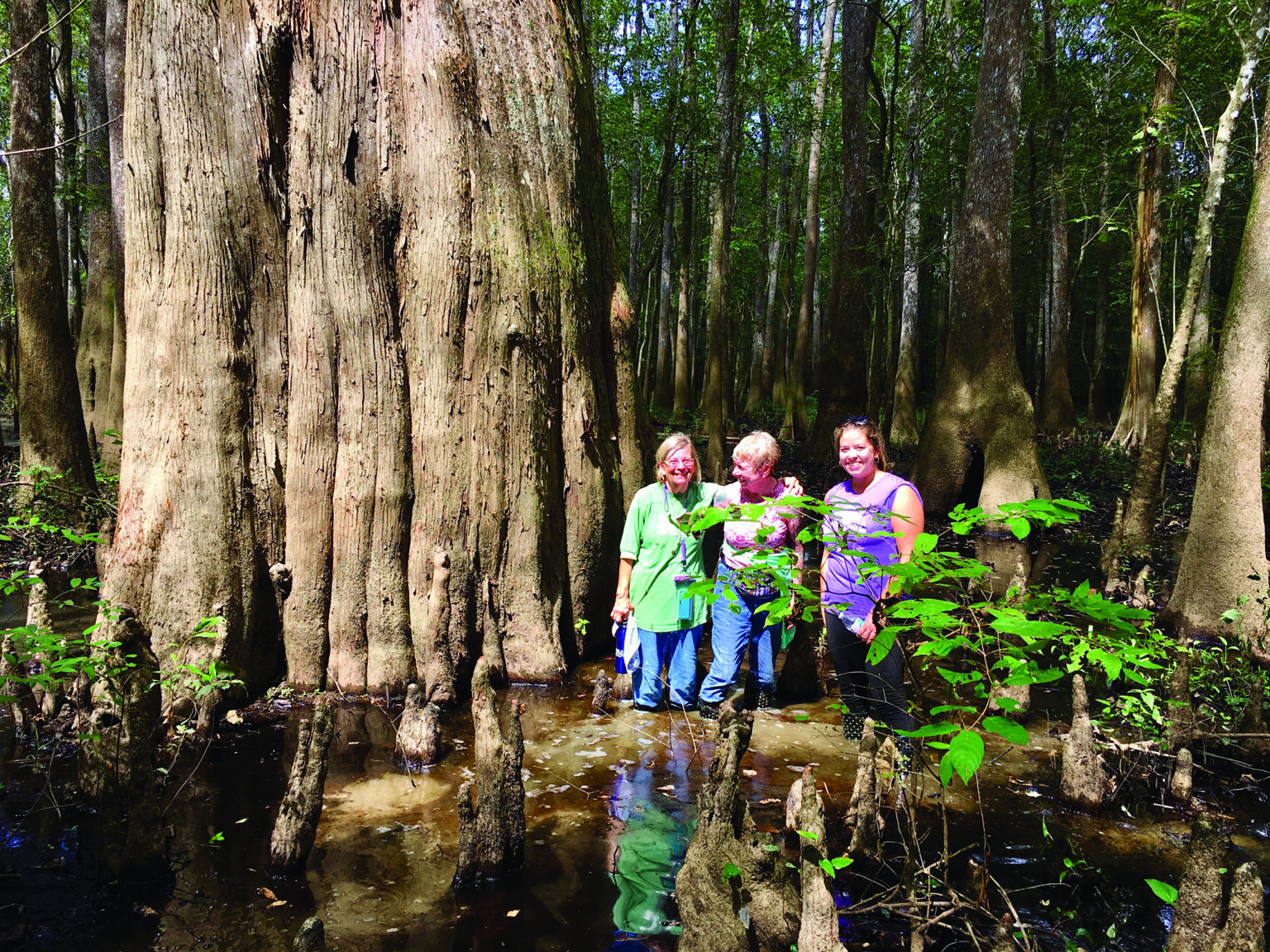 Delta of Diversity - Alabama Living Magazine