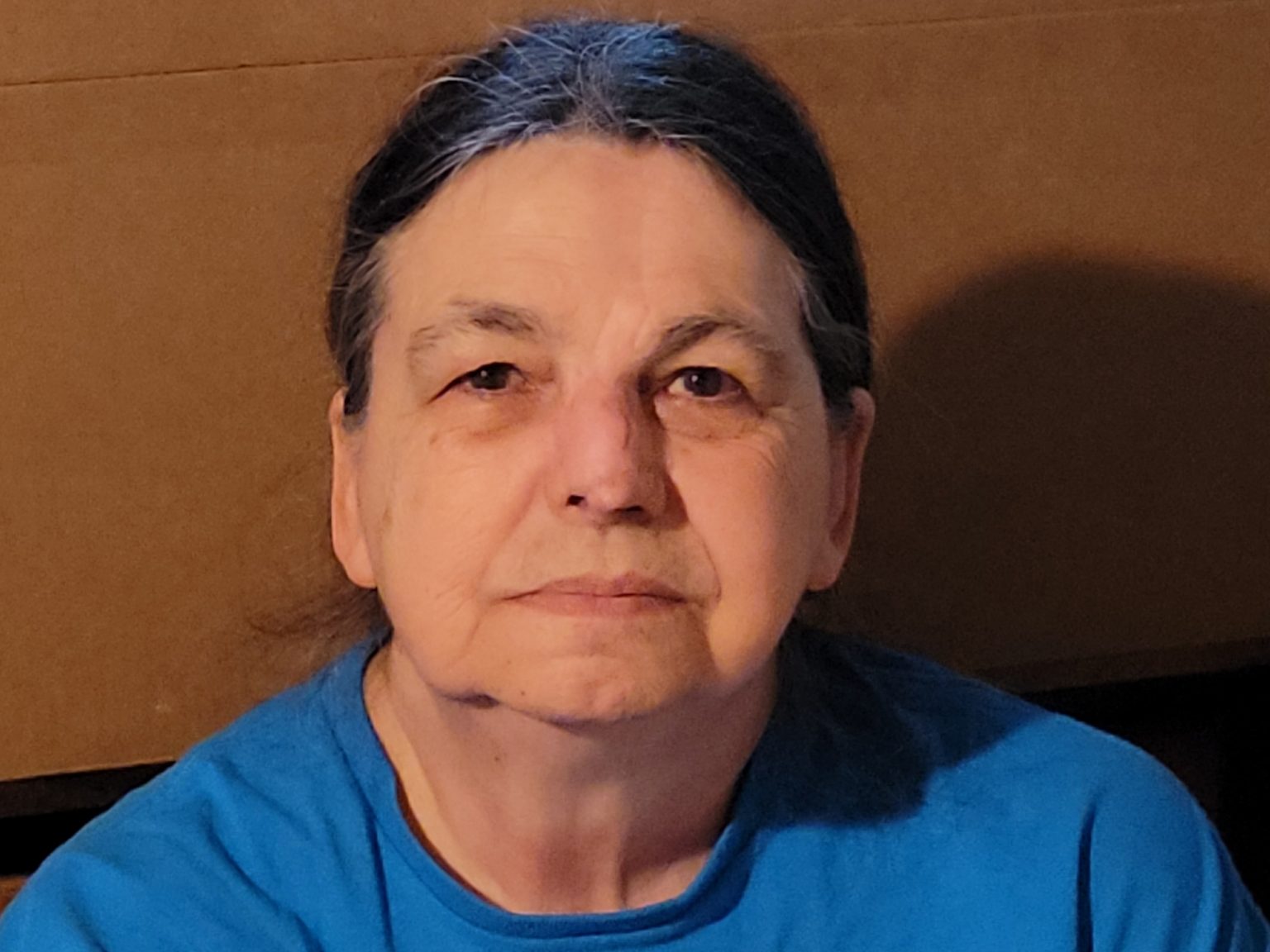 Christmas Cookies - Alabama Living Magazine