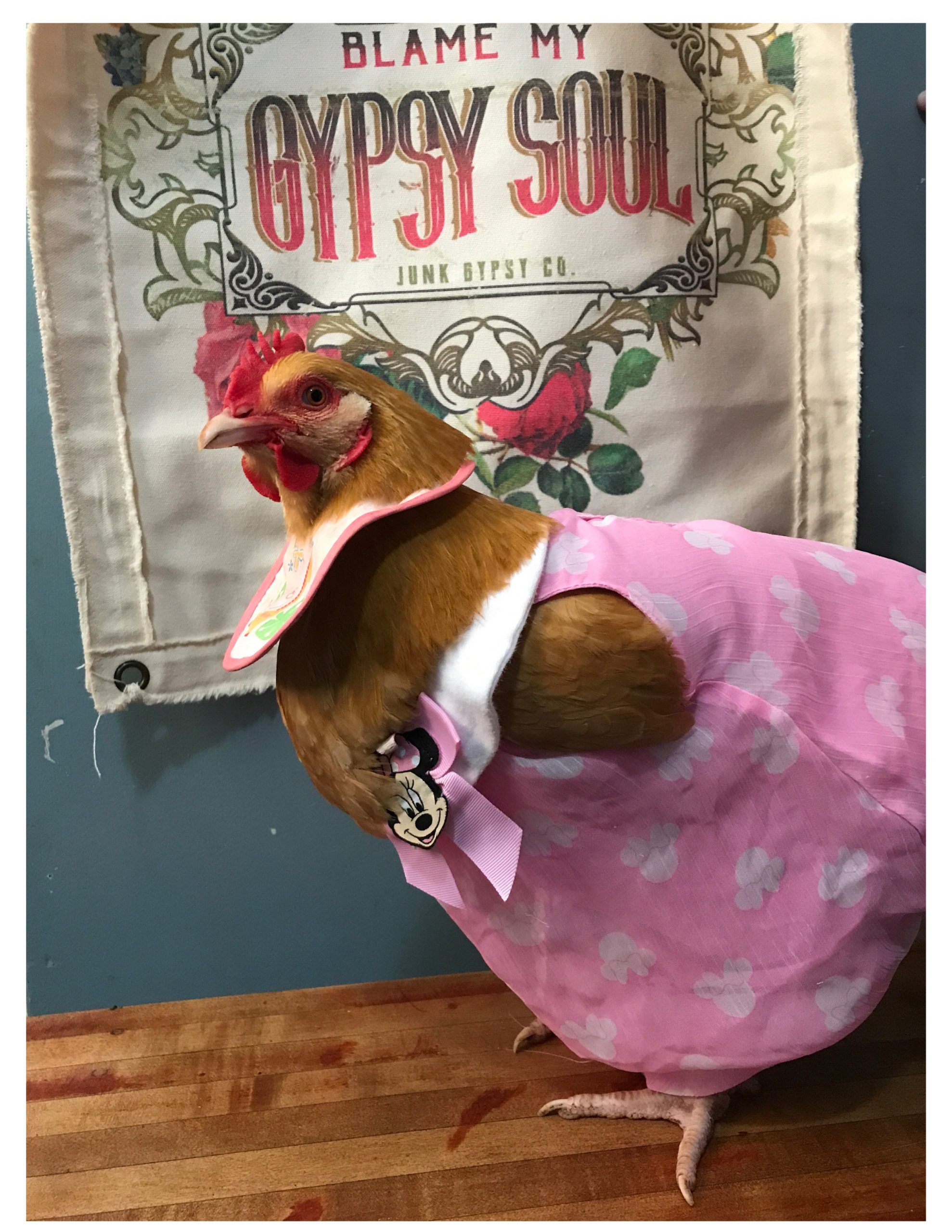 Dressed up pets - Alabama Living Magazine
