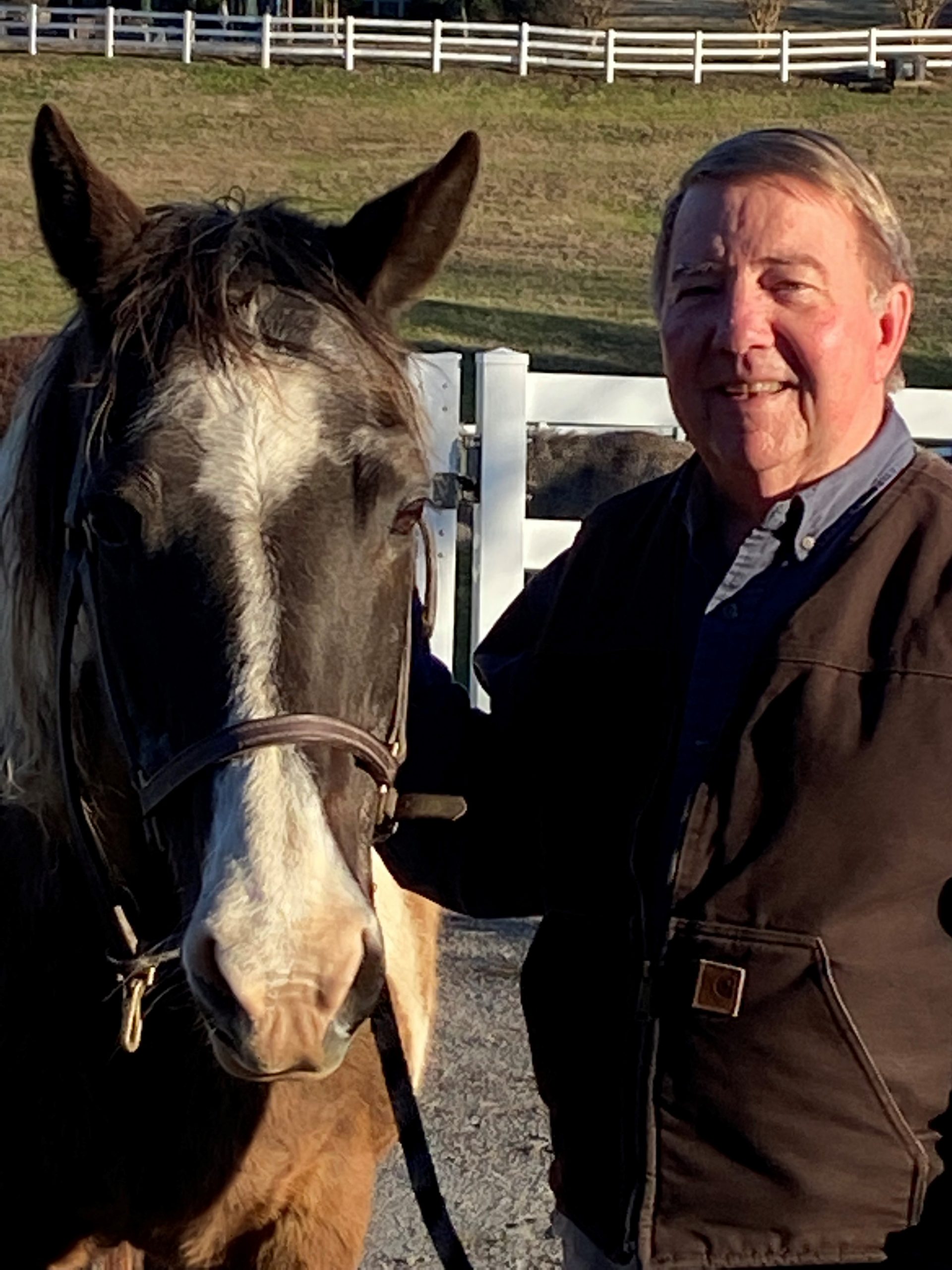 Pecans: Time to celebrate our official state nut - Alabama Living Magazine