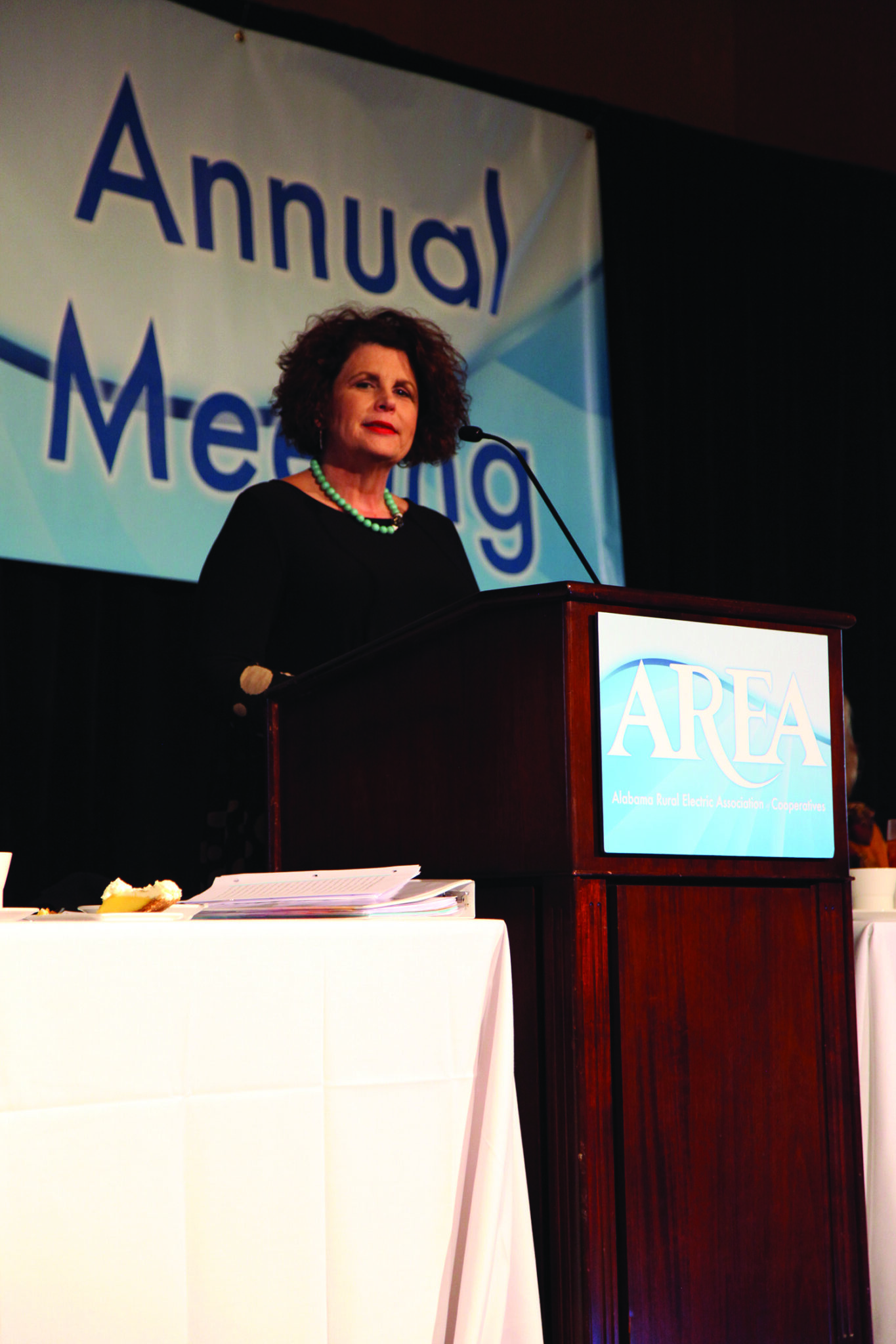 Electric co-ops benefit from connections in the Legislature - Alabama ...