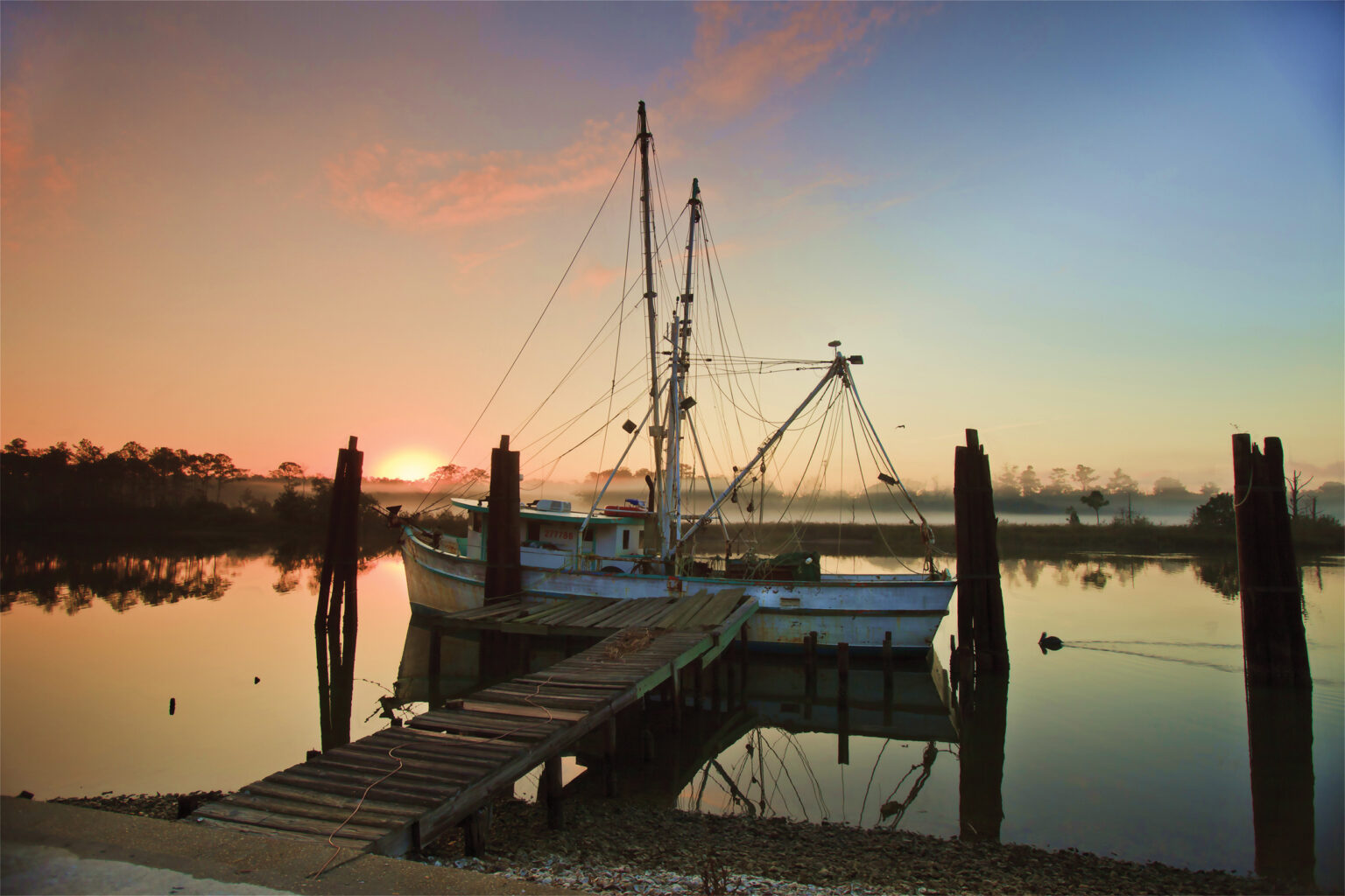 2023 Alabama Living Photo Contest - Alabama Living Magazine